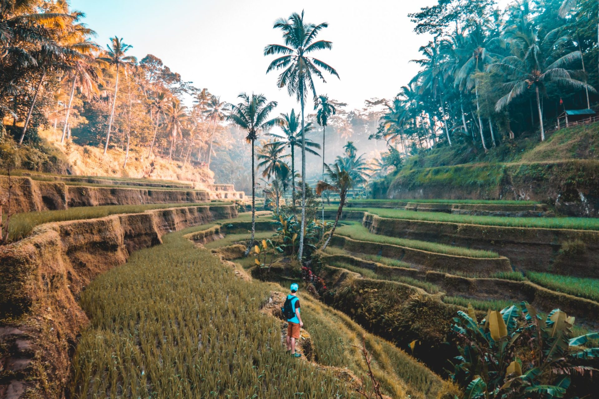 Bali Tipps » 10 Insider-Tipps für deine Bali-Reise 2024